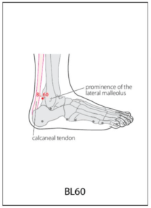 BL 60 Acupuncture Point - Acupuncture Point Locations Review