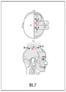 BL 7 Acupuncture Point - Acupuncture Point Locations Review