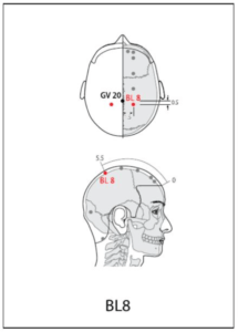 BL 8 Acupuncture Point - Acupuncture Point Locations Review