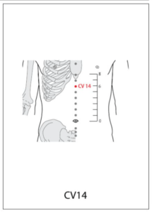 CV 14 Acupuncture Point - Acupuncture Point Locations Review