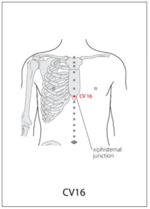 CV 16 Acupuncture Point - Acupuncture Point Locations Review