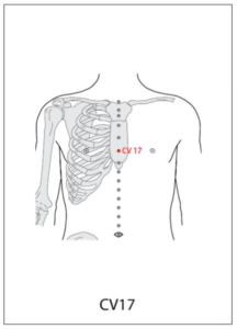 CV 17 Acupuncture Point - Acupuncture Point Locations Review