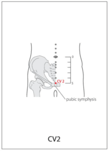 CV 2 Acupuncture Point - Acupuncture Point Locations Review