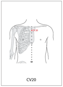 CV 20 Acupuncture Point - Acupuncture Point Locations Review
