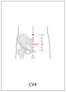 CV 4 Acupuncture Point - Acupuncture Point Locations Review