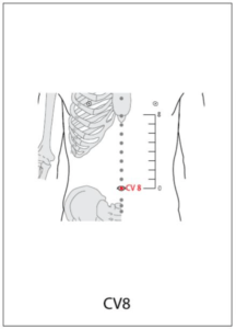 CV 8 Acupuncture Point - Acupuncture Point Locations Review