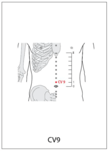 CV 9 Acupuncture Point - Acupuncture Point Locations Review