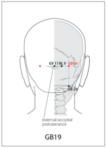 GB 19 Acupuncture Point - Acupuncture Point Locations Review