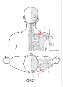 GB 21 Acupuncture Point - Acupuncture Point Locations Review
