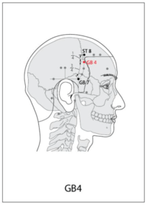GB 4 Acupuncture Point - Acupuncture Point Locations Review
