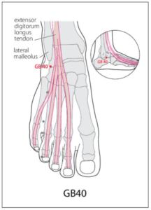 GB 40 Acupuncture Point - Acupuncture Point Locations Review