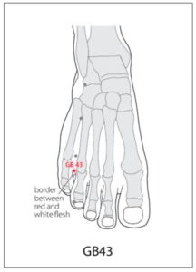 GB 43 Acupuncture Point - Acupuncture Point Locations Review