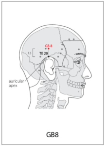 GB 8 Acupuncture Point - Acupuncture Point Locations Review