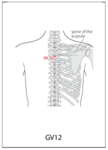 GV 12 Acupuncture Point - Acupuncture Point Locations Review