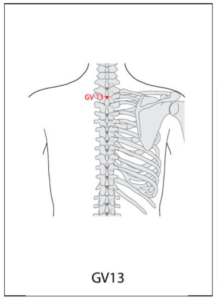 GV 13 Acupuncture Point - Acupuncture Point Locations Review