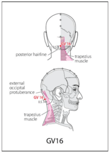 GV 16 Acupuncture Point - Acupuncture Point Locations Review