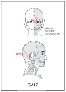 GV 17 Acupuncture Point - Acupuncture Point Locations Review