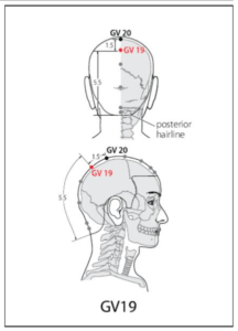 GV 19 Acupuncture Point - Acupuncture Point Locations Review