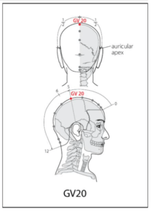 GV 20 Acupuncture Point - Acupuncture Point Locations Review