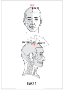 GV 21 Acupuncture Point - Acupuncture Point Locations Review