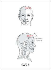 GV 23 Acupuncture Point - Acupuncture Point Locations Review