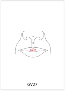 GV 27 Acupuncture Point - Acupuncture Point Locations Review