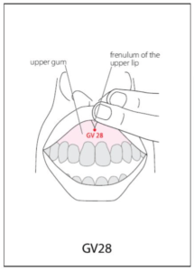 GV 28 Acupuncture Point - Acupuncture Point Locations Review