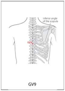 GV 9 Acupuncture Point - Acupuncture Point Locations Review