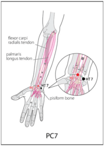 PC 7 Acupuncture Point - Acupuncture Point Locations Review