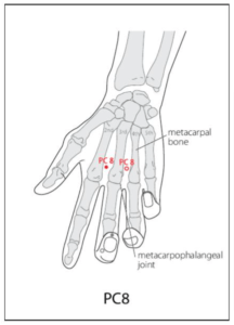 PC 8 Acupuncture Point - Acupuncture Point Locations Review