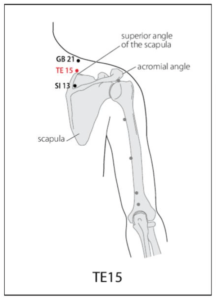 TE 15 Acupuncture Point - Acupuncture Point Locations Review