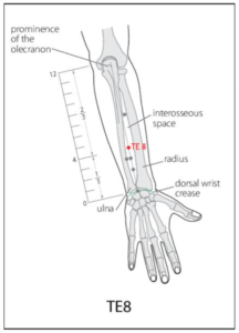 TE 8 Acupuncture Point - Acupuncture Point Locations Review