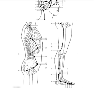 Acupuncture GallBladder Meridian - Good Shepherd